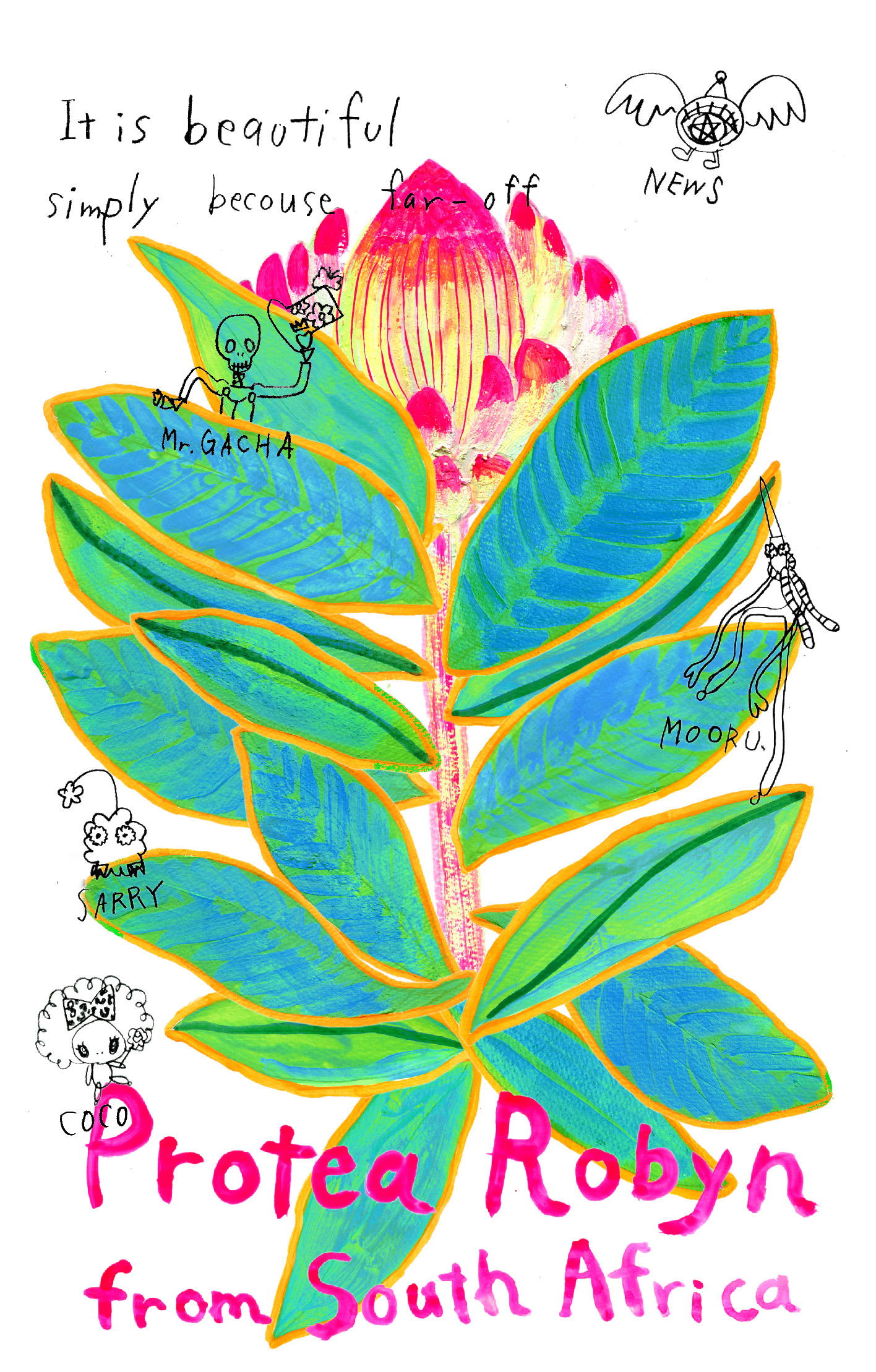 Protea Robin - ROHO RE PRO : Reproduction art of the earth and the ...